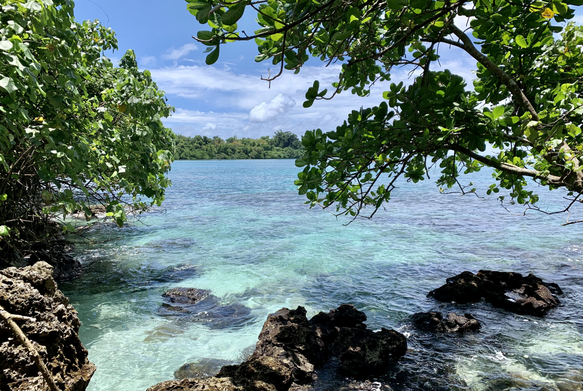 Waterfront Land South Santo Vanuatu - Northern Vanuatu Real Estate